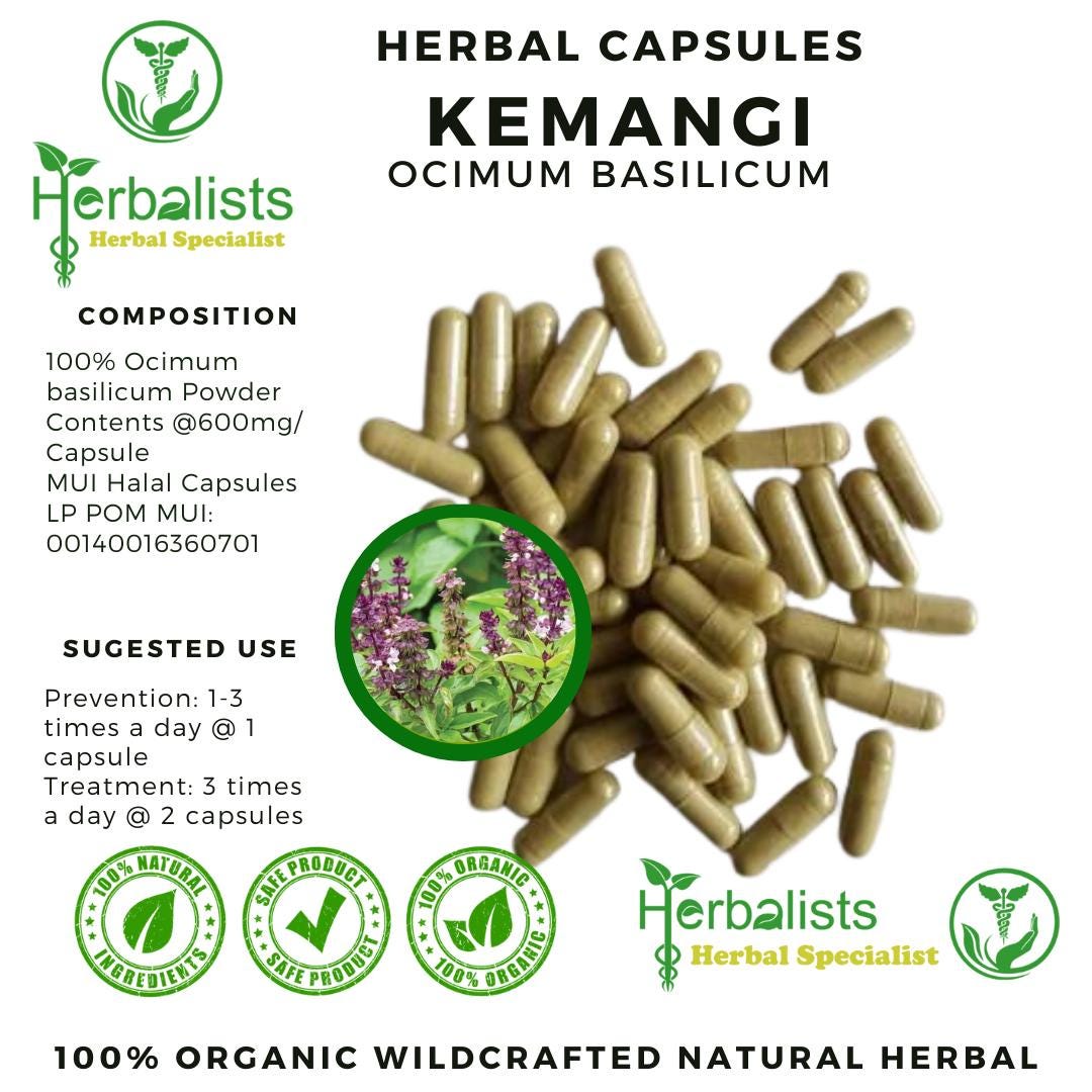 100-800 Capsules of Pure Ocimum Basilicum Basil Leaves Daun Kemangi 100 ...