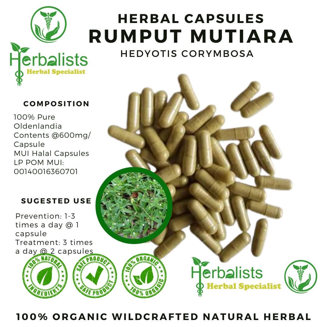 100-800 Capsules of Pure Diamond Flower ( Hedyotis Corymbosa ) 100% ...