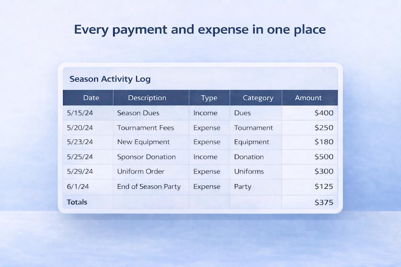 Team Income and Expense Tracker | Excel, Google Sheets & Printable PDF ...