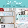 Vet Clinic Dramatic Play Kit | Printable Veterinary Clinic Set ...