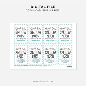 Thank You Snow Much Gift Tag, Christmas Holidays Snow Globe Label ...