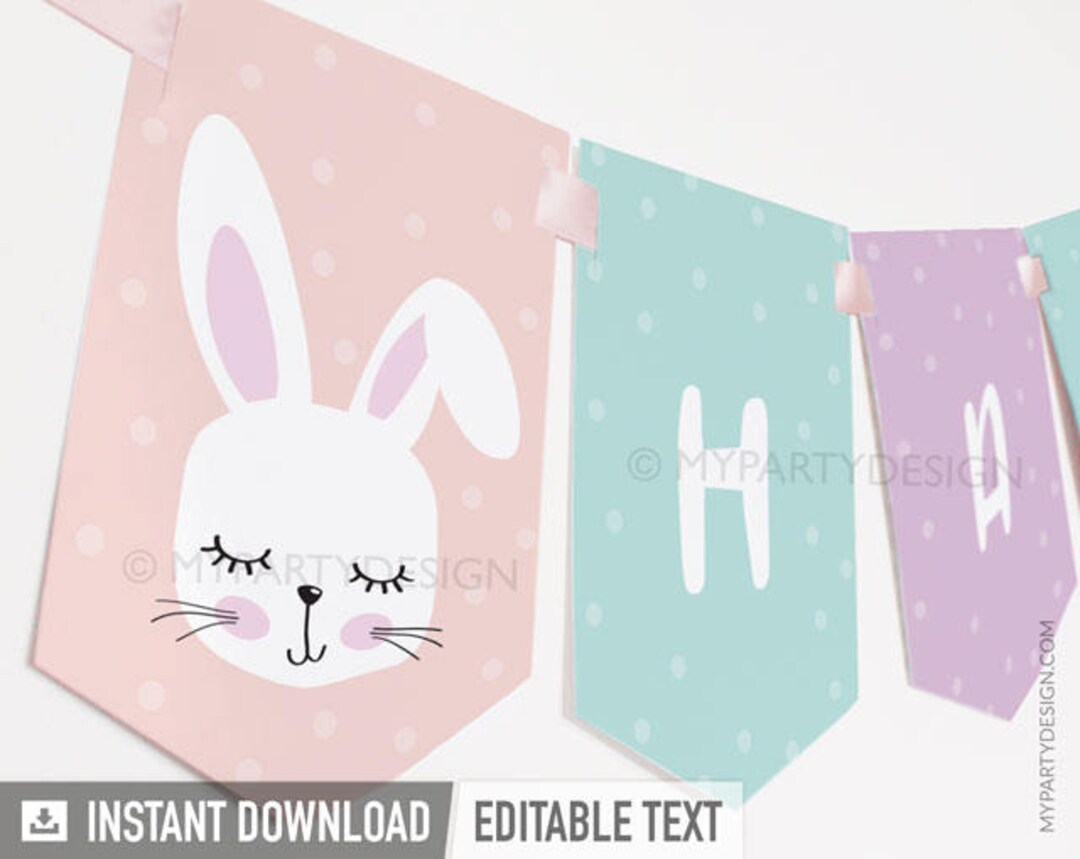 Bunny Birthday Banner Easter Bunny Party Decorations Little - Etsy