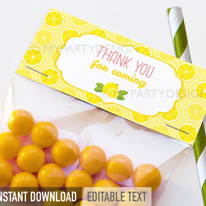 Lemonade Party Favor - Etsy