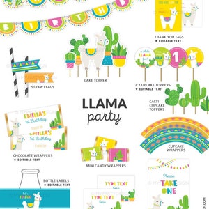 Llama Birthday Decorations, Mexican Fiesta Party Kit, Cactus Llama ...