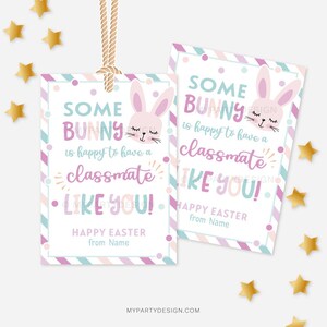 Classmate Easter Tag, Some Bunny Favor Gift Tags, Kids School Class ...