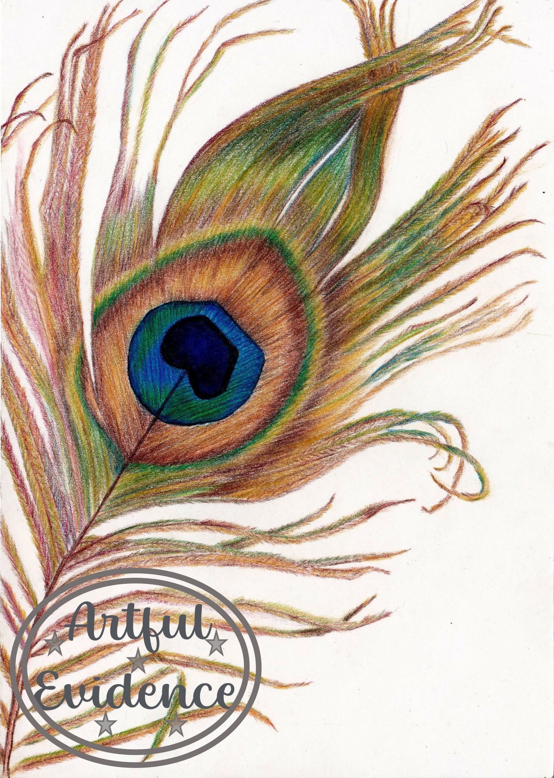Peacock Feather Pen Sketch