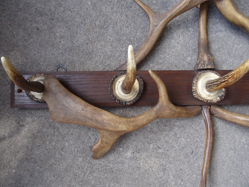 European Antler Hat Coat Rack | Etsy