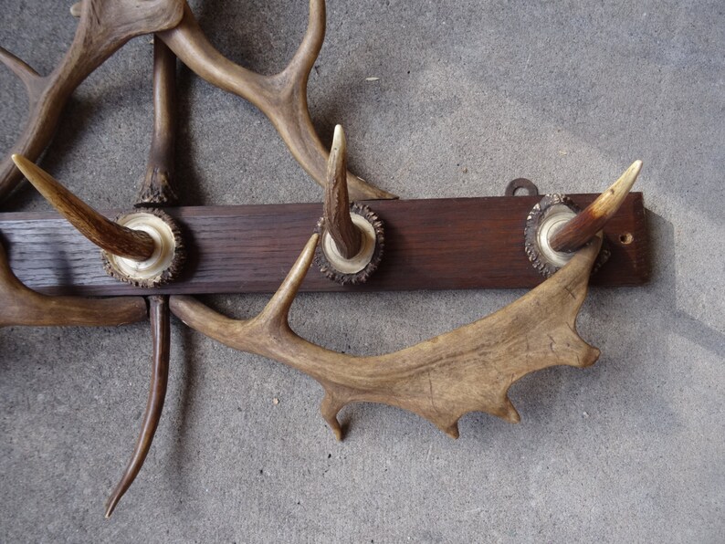 European Antler Hat Coat Rack | Etsy