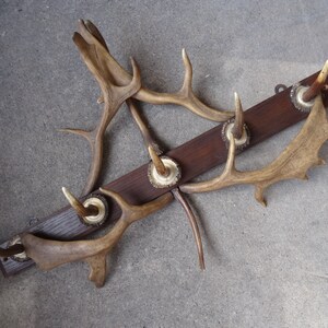 European Antler Hat Coat Rack - Etsy