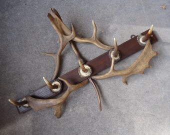 Antler Rack - Etsy