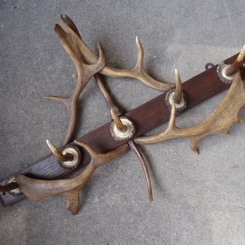 Antler Coat Rack - Etsy