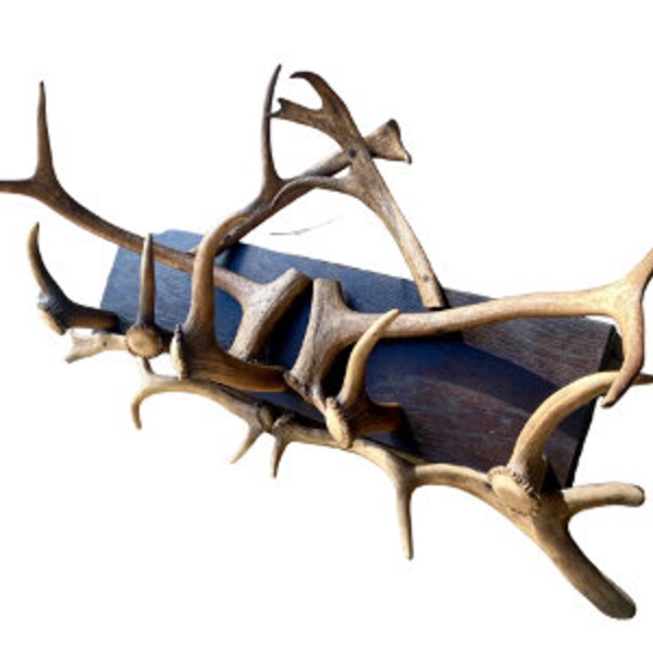 Antler Hat Rack - Etsy