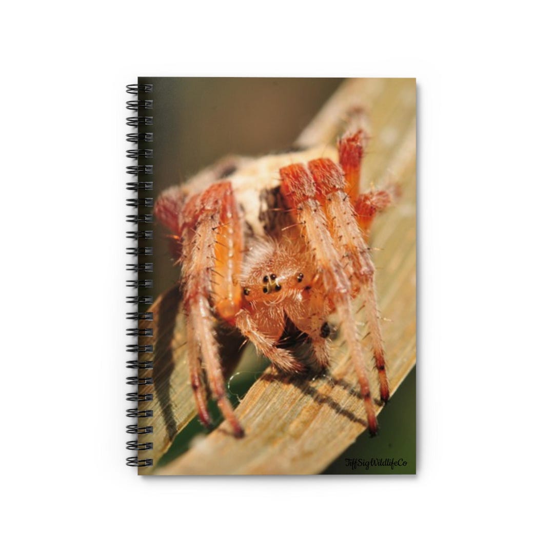 Orange Jumping Spider Notebook | Spiral Ruled Journal - Etsy