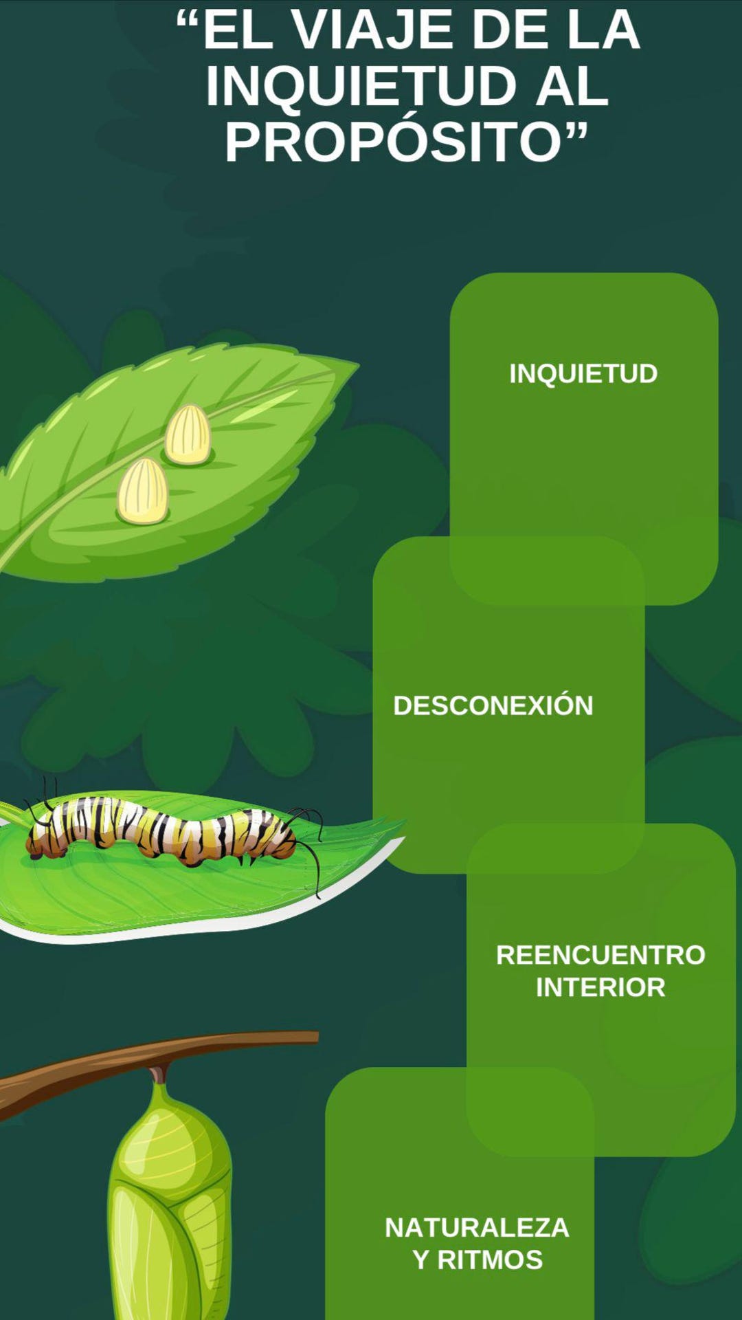 El Viaje De La Inquietud Al Propósito-guia Digital De Autoconocimiento ...