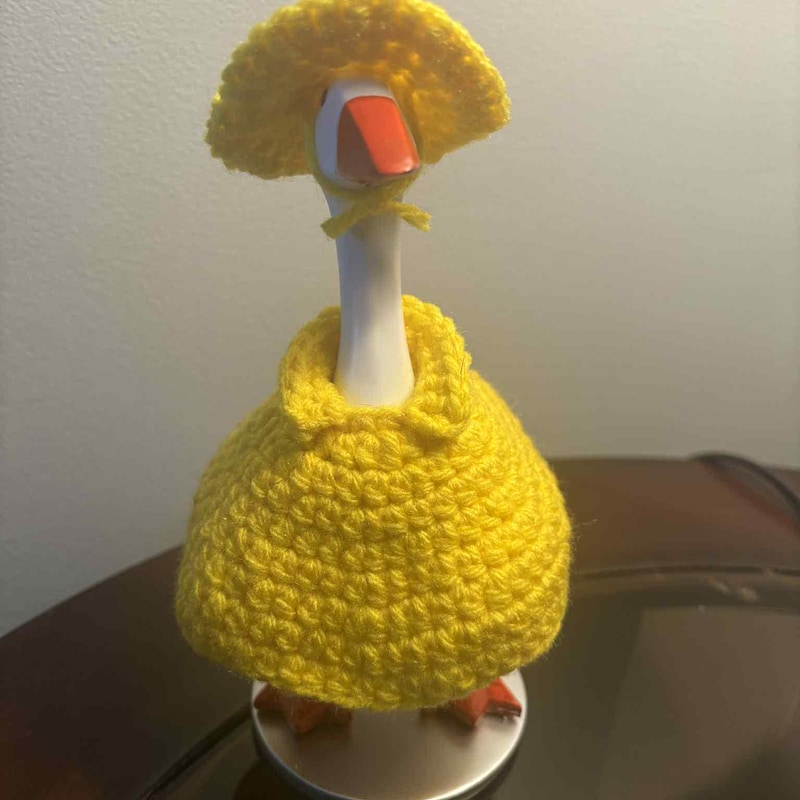 Rain Coats for Goose - Etsy