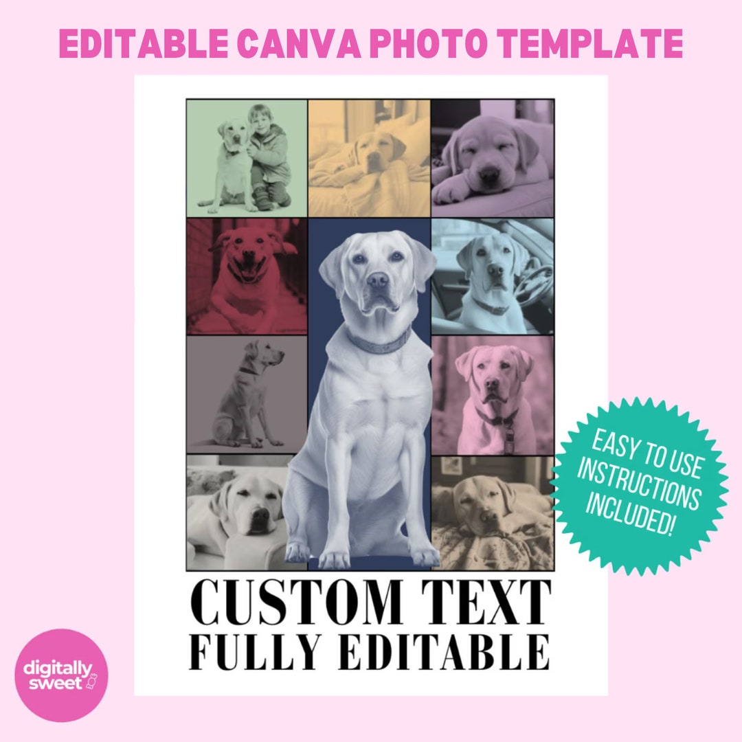 Custom Pet Poster Template Editable Concert Poster Grid Eras Themed ...