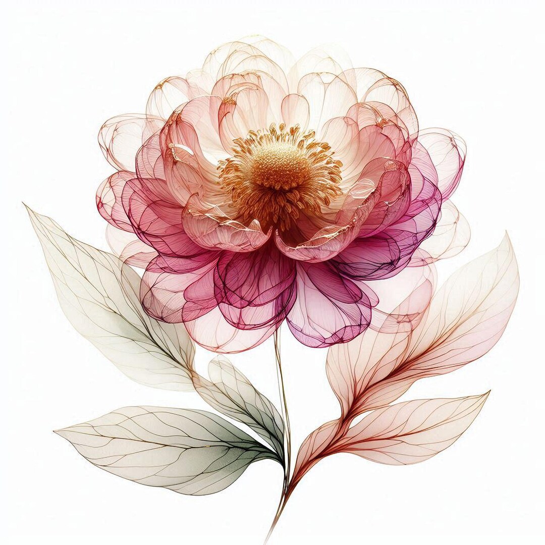 11 Pink Globe Amaranth Floral Set, Digital Botanical Illustration ...