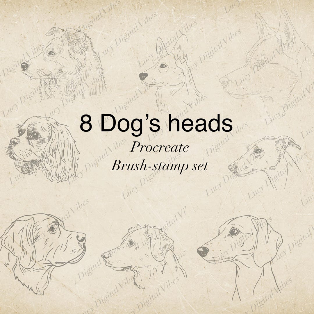 8 Dog Breeds Heads Procreate Brushes: Capture Different Body Poses ...