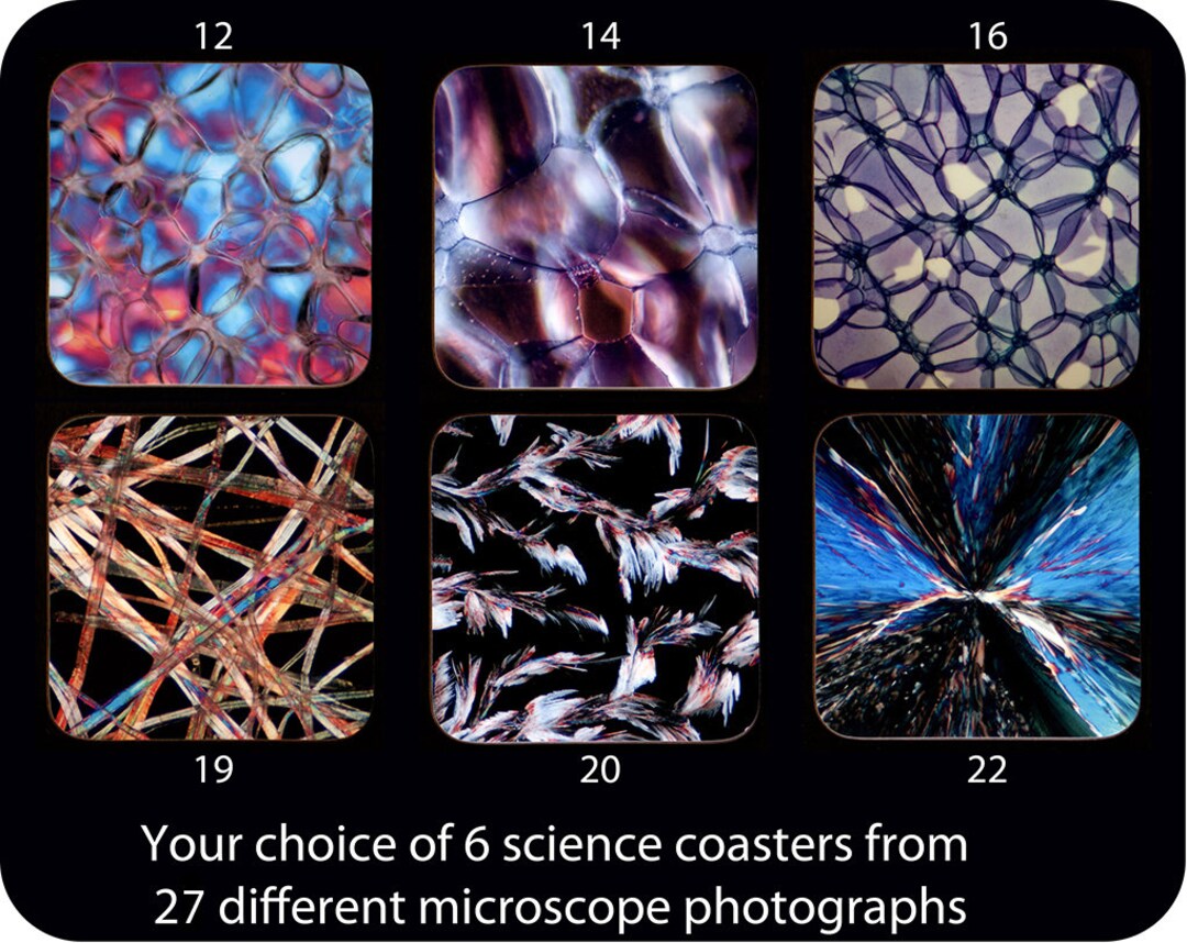 Science Gift 6 Science Coasters Choose From 27 Designs of Biological ...