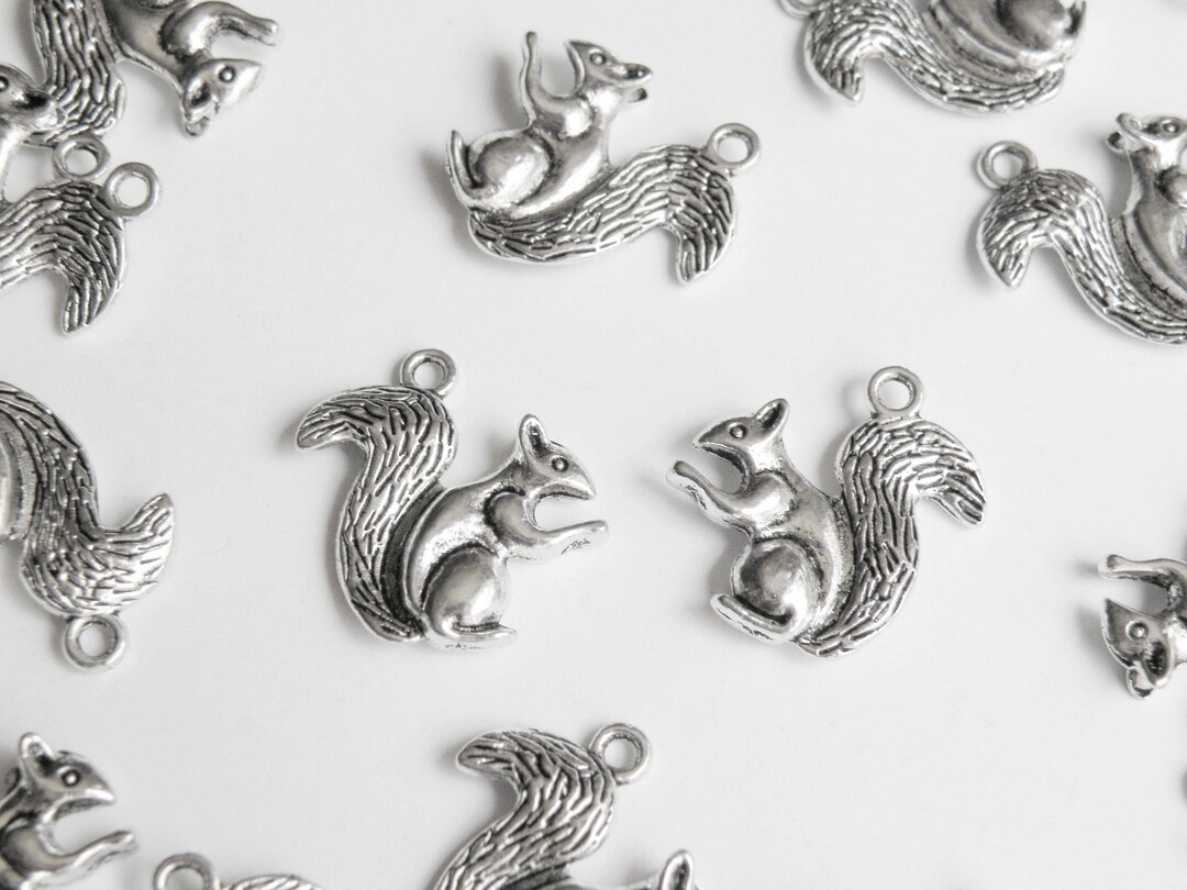 10 Squirrel Chipmunk Charms, Antique Silver 21x20mm DK10086 - Etsy