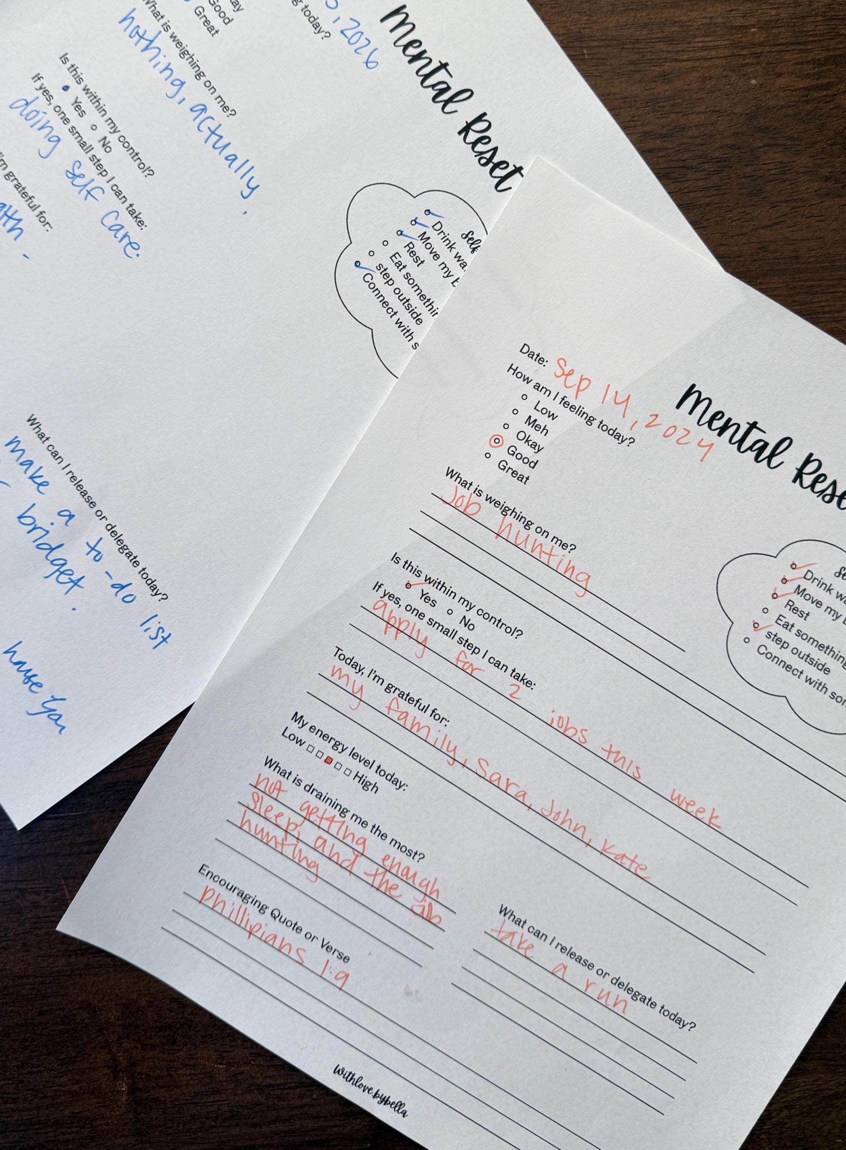 Mental Health Daily Check-in Sheet | Printable Self-care and Mood ...