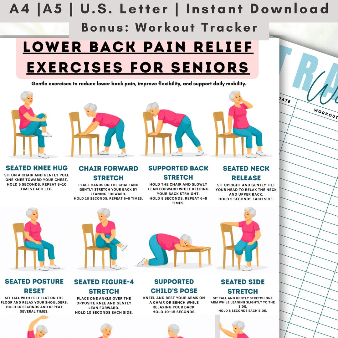 Lower Back Pain Relief Exercises, Gentle Back Stretch Chart, Senior ...