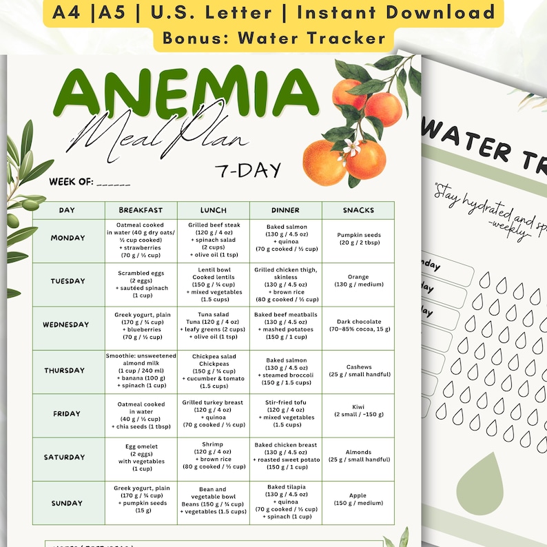 Anemia-friendly 7-day Meal Plan, Iron Rich Diet, Water Tracker (PDF ...