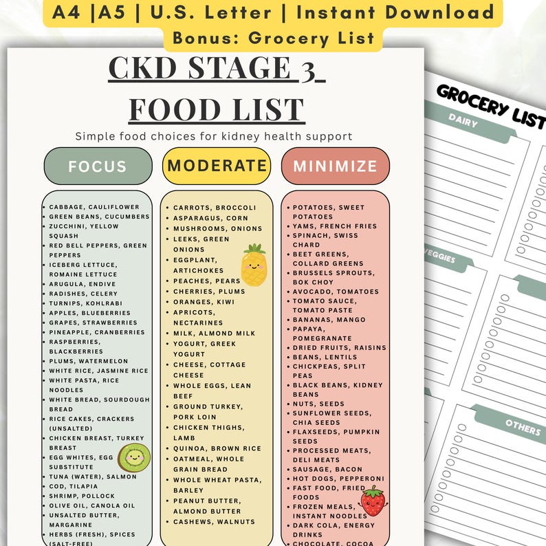 CKD Stage 3 Food List Printable, Kidney Disease Diet PDF, Low Sodium ...