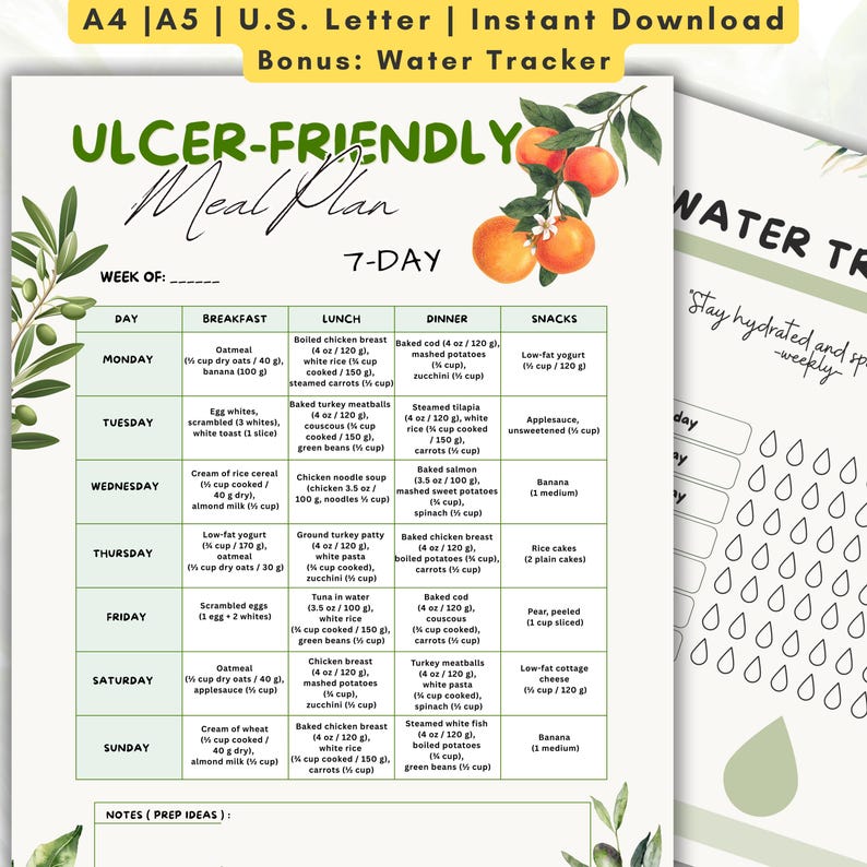 Ulcer Friendly Meal Plan 7 Days Printable, Stomach Friendly Diet PDF ...