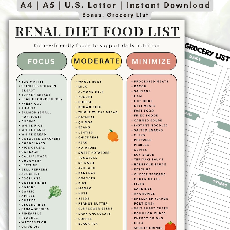Renal Diet Food List Printable, Kidney Friendly Foods Chart, Renal Diet ...