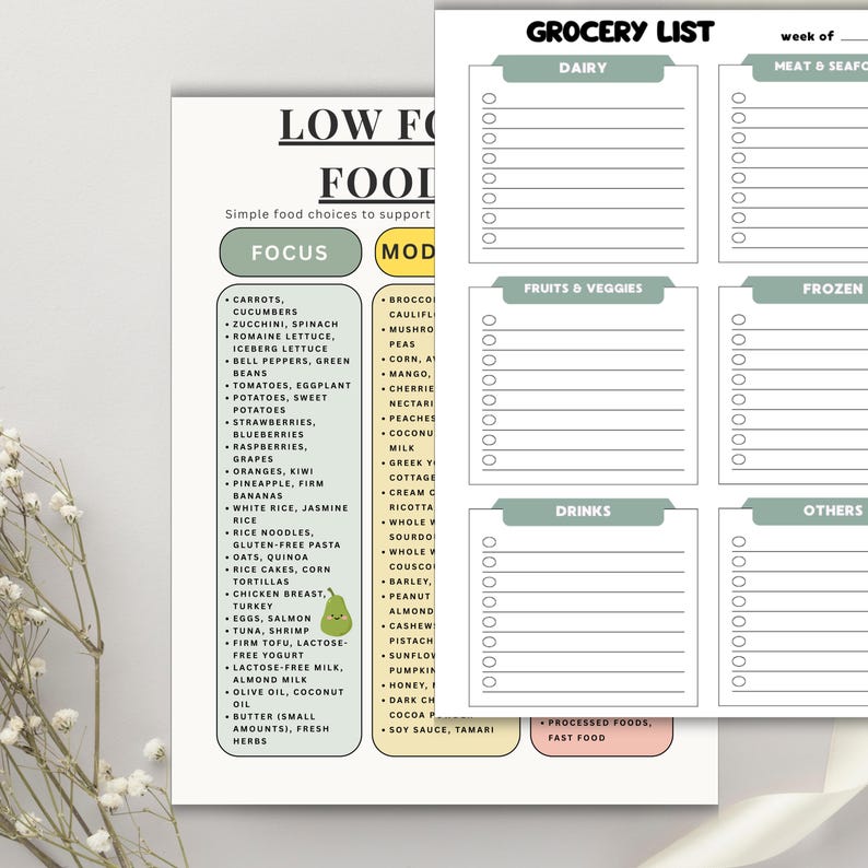 Low FODMAP Food List Printable, IBS Friendly Food Chart, Gut Health ...
