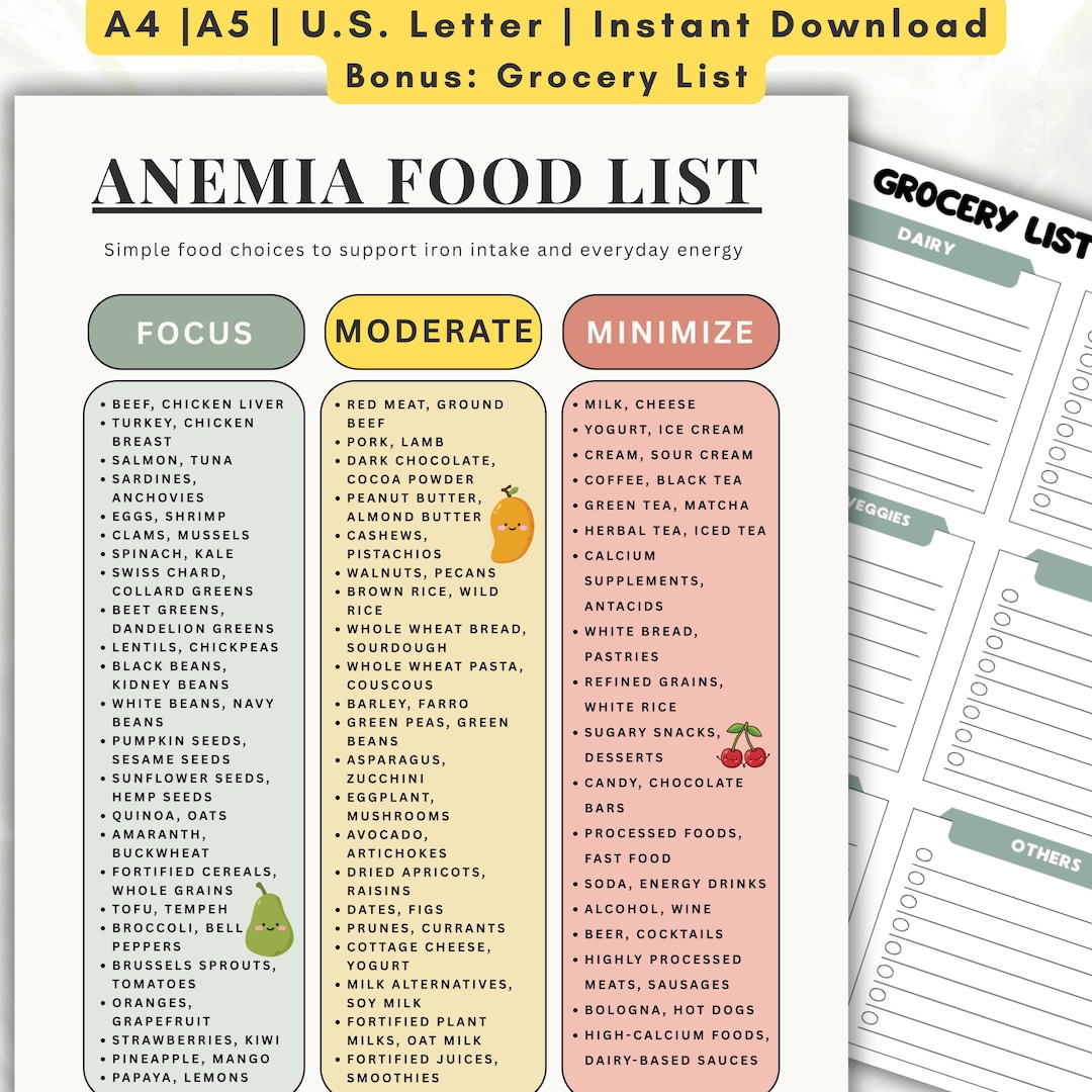 Anemia Food List, Iron Rich Foods Chart, Grocery List (PDF A4/A5/US ...