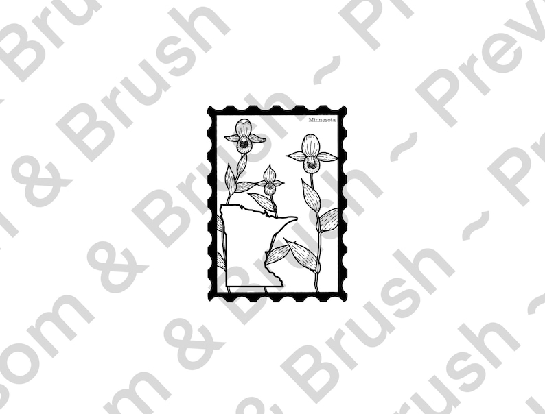 Minnesota State Flower Stamp PNG | Hand Drawn Minnesota Botanical ...