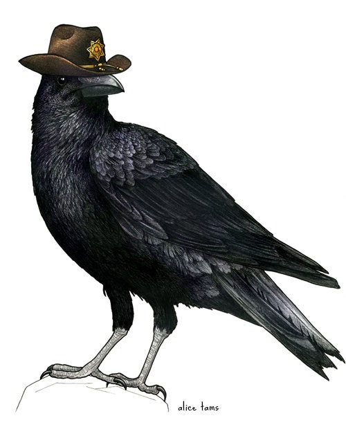 Crow in a Sheriffs Hat / Walking Dead Crow A3 Birds in Hats - Etsy