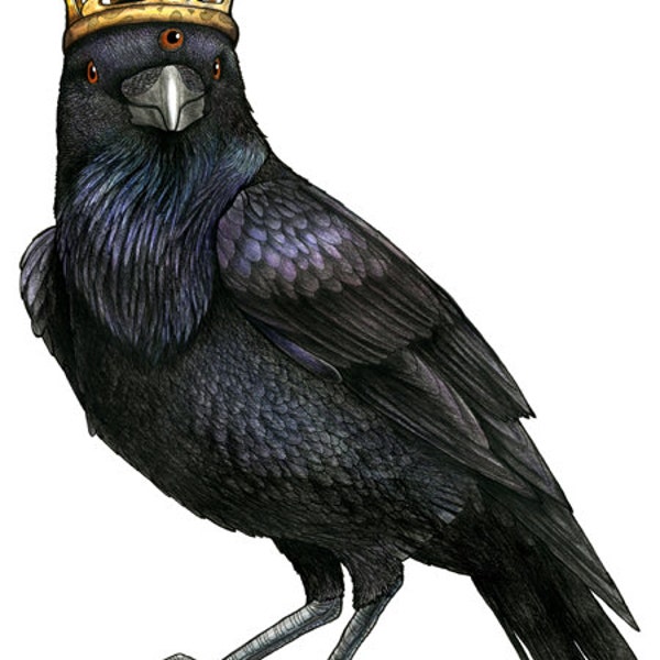 Raven Printable - Etsy