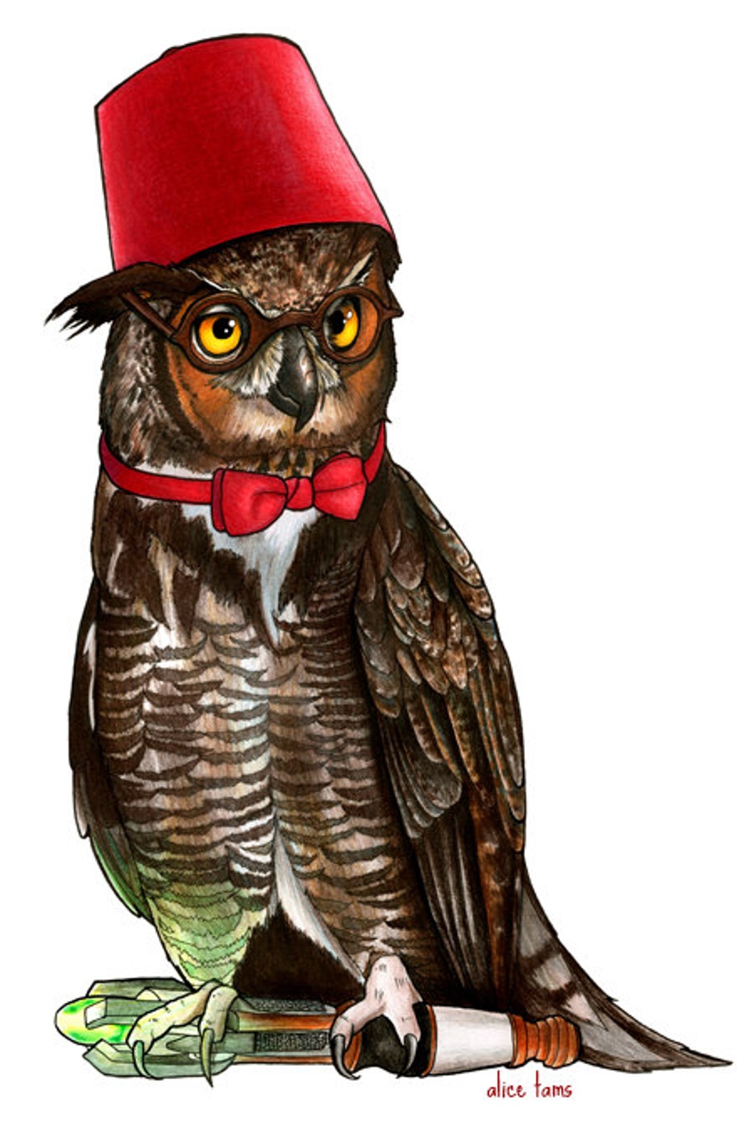 Dr Who Owl in a Fez and Bow Tie A4 Print - Etsy