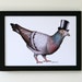 Pigeon in a Top Hat: A4 Print - Etsy