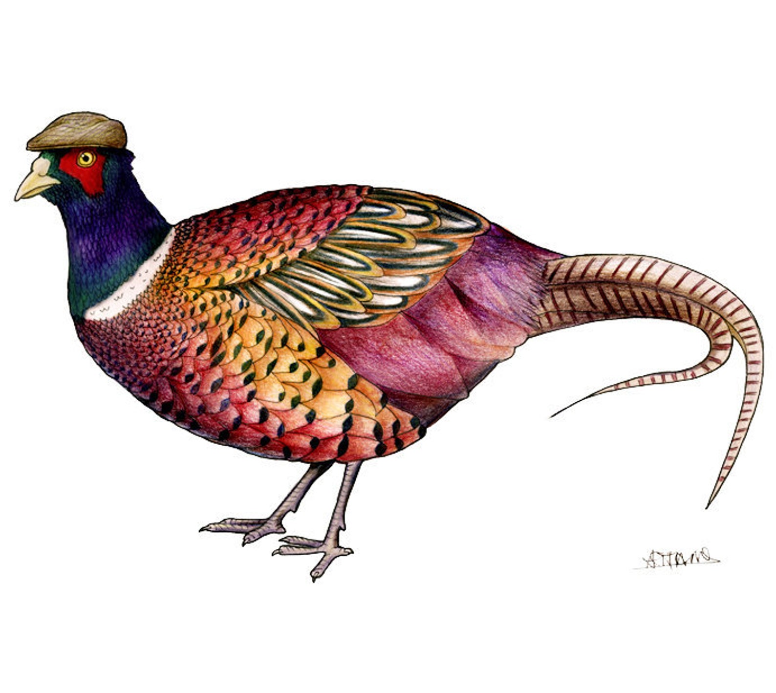 Pheasant in a Flat Cap: A4 Print - Etsy