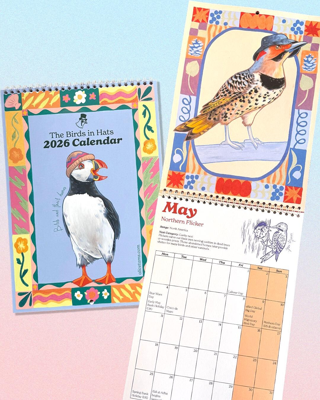 The 2026 Birds in Hats Wall Calendar! Birds and Their Homes - Etsy