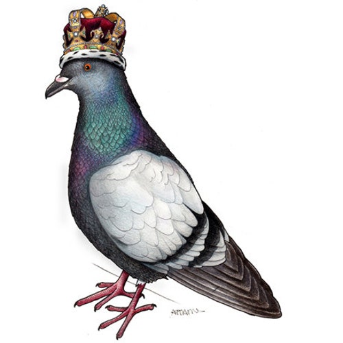 Pigeon in a Top Hat: A4 Print - Etsy