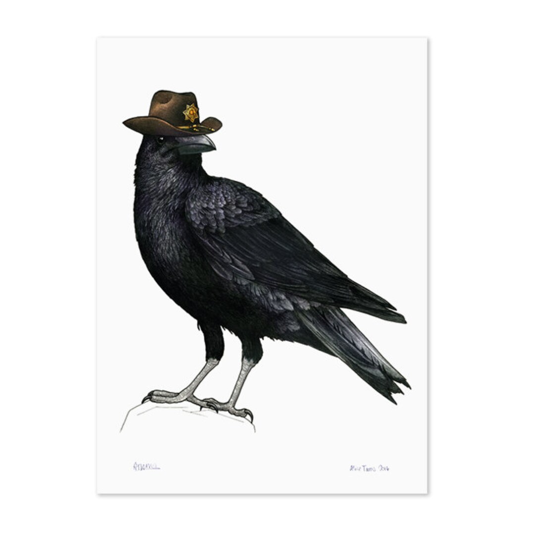 Crow in a Sheriffs Hat / Walking Dead Crow A3 Birds in Hats Art Print ...