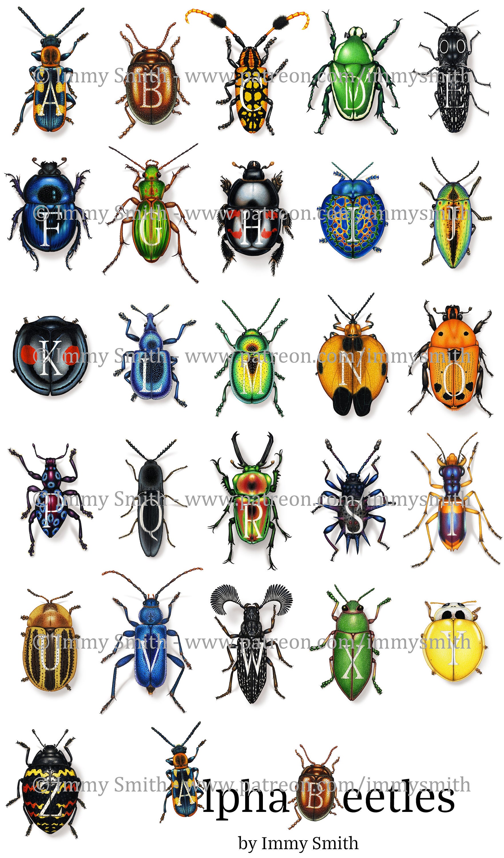 Alphabeetles A4 Individual Letter Matte Prints Limited Edition Sciart ...