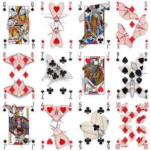 A4 & A3 Cryptic Card Matte Prints (limited Edition) - Cryptic Cards ...