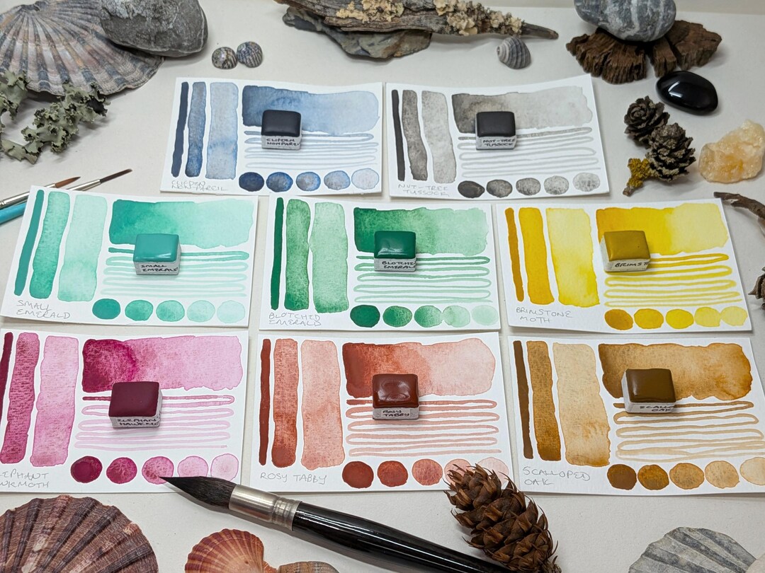 Moths: Handmade 8 Watercolour Paint Set Inspired by Colourful & Subtle ...