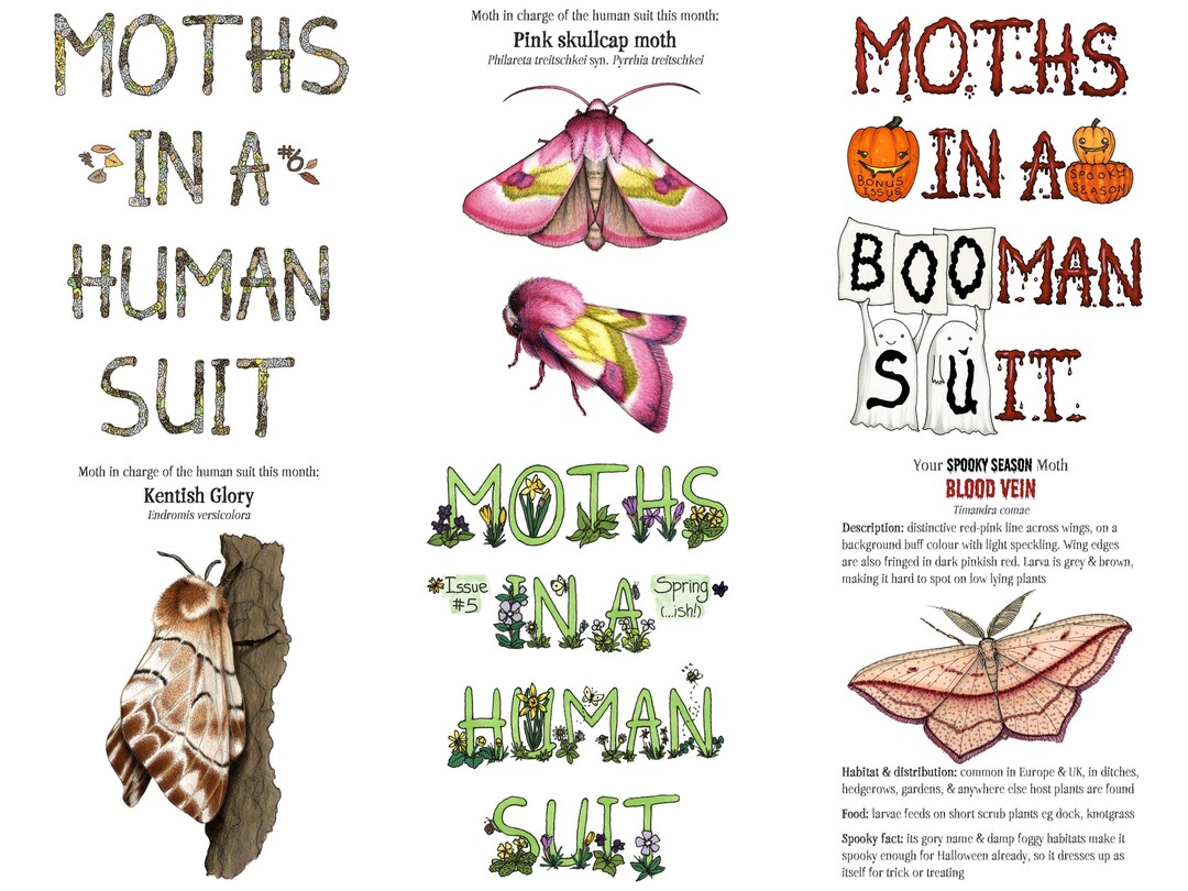Zine - Moths in a Human Suit #5, and #6 + Bonus Halloween Zine - A6/A7 ...
