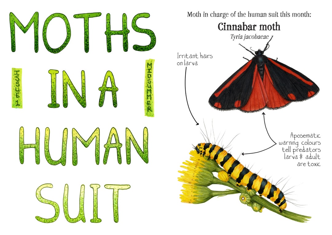 Zine: Moths in a Human Suit #1 and 2 - A6/A7 Double-sided Full Colour ...