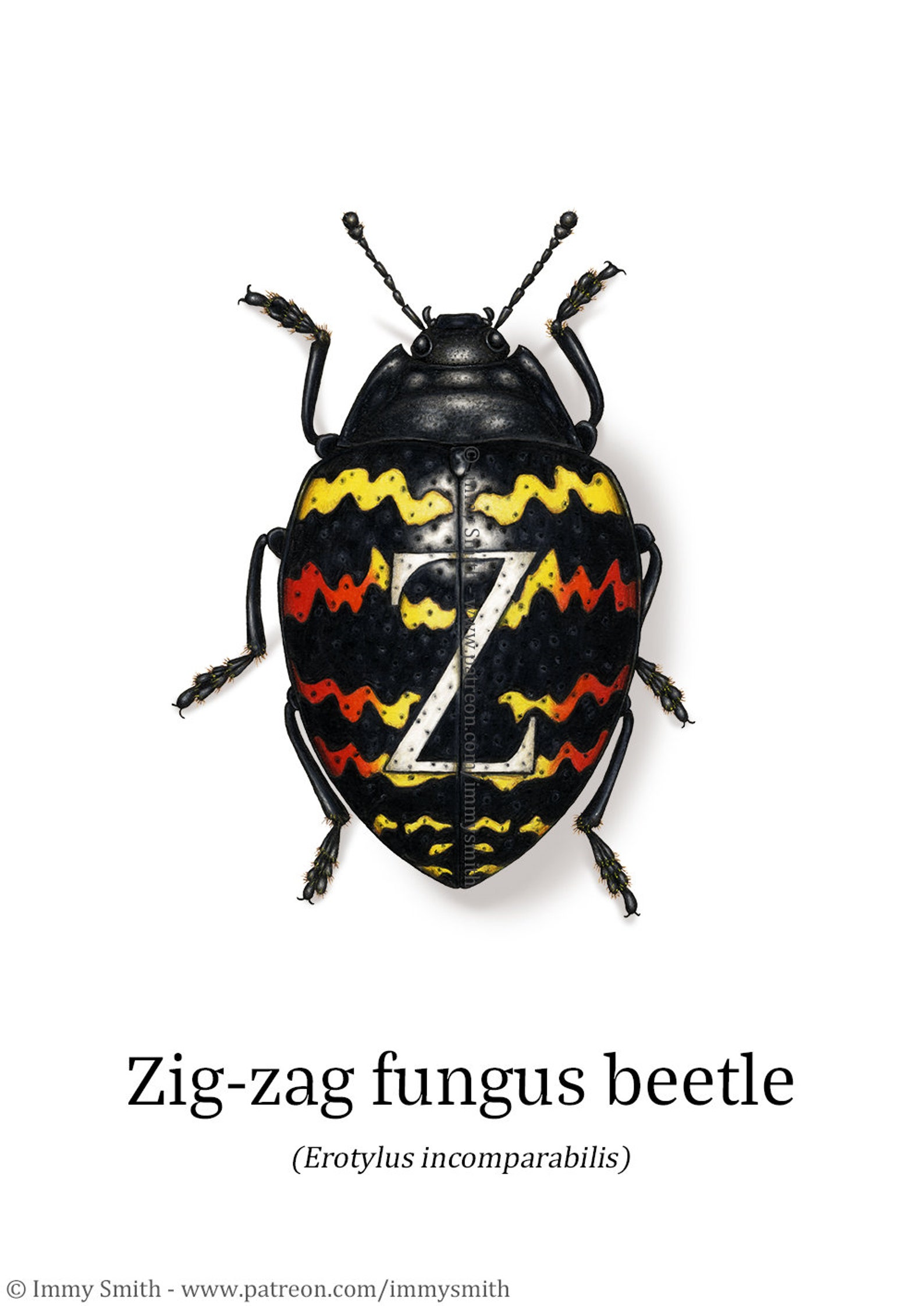 Alphabeetles A4 Individual Letter Matte Prints Limited Edition Sciart ...