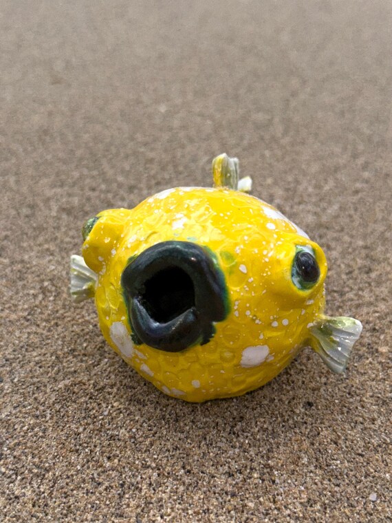 Hawaiian Puffer Fish