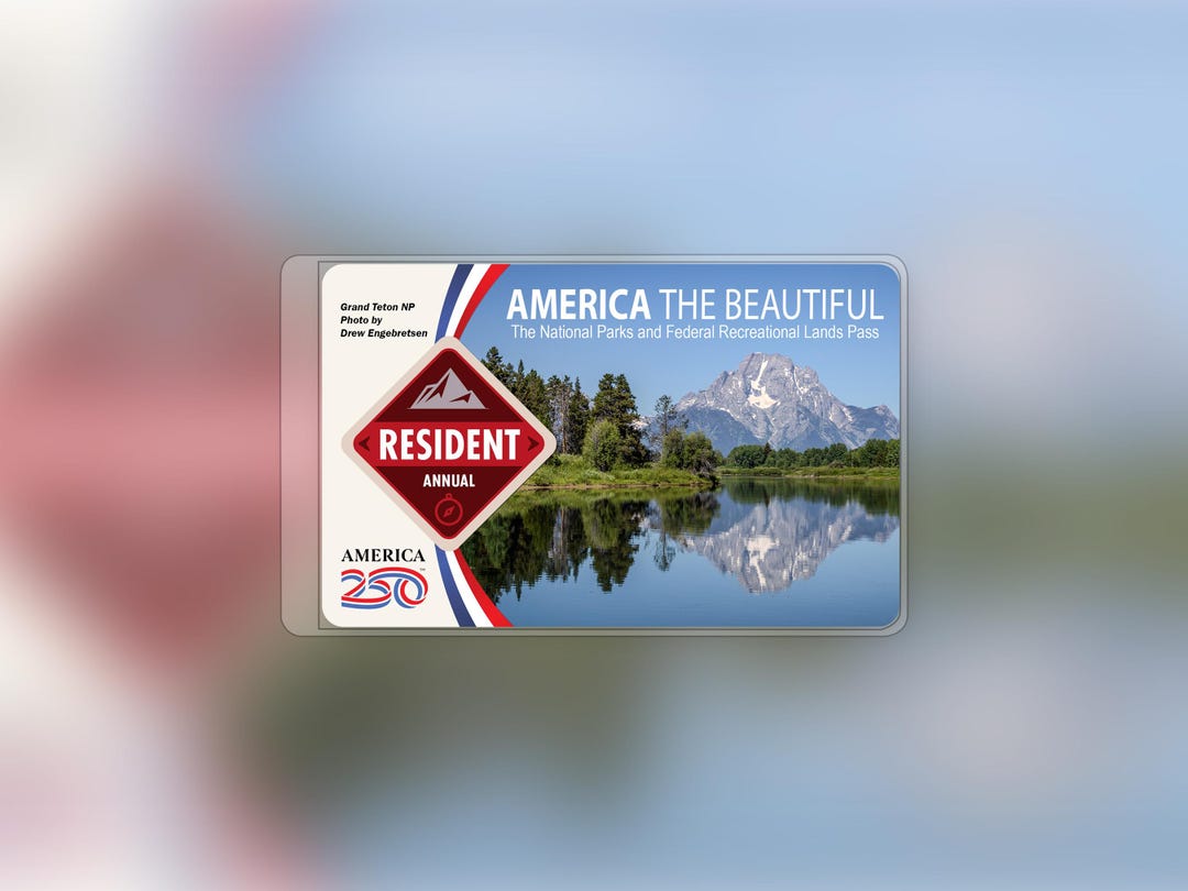 National Parks Pass, America the Beautiful Pass Cover Sleeve - Etsy