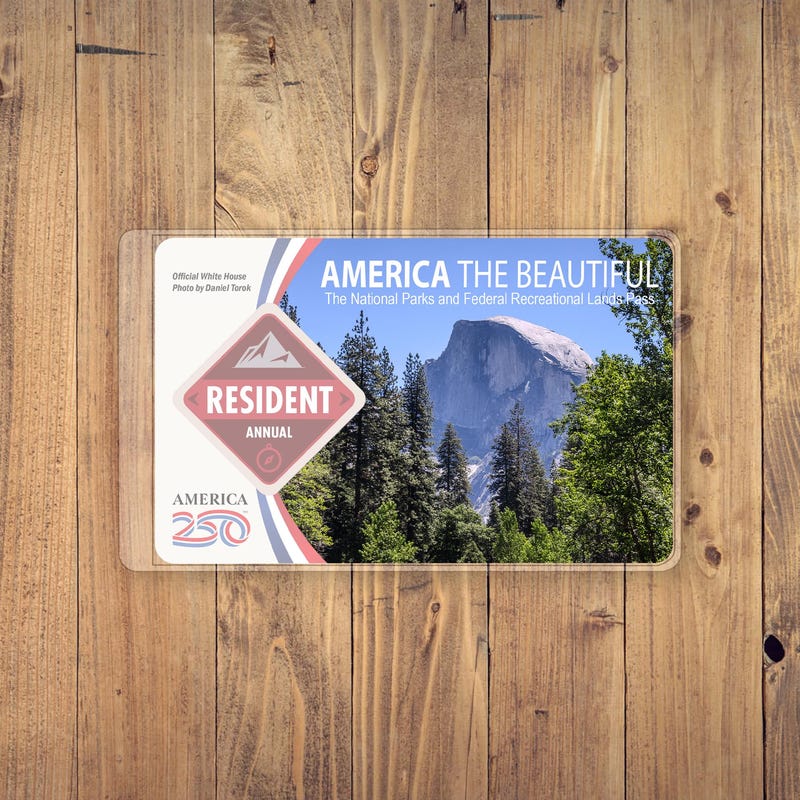 National Park Pass Cover - Etsy